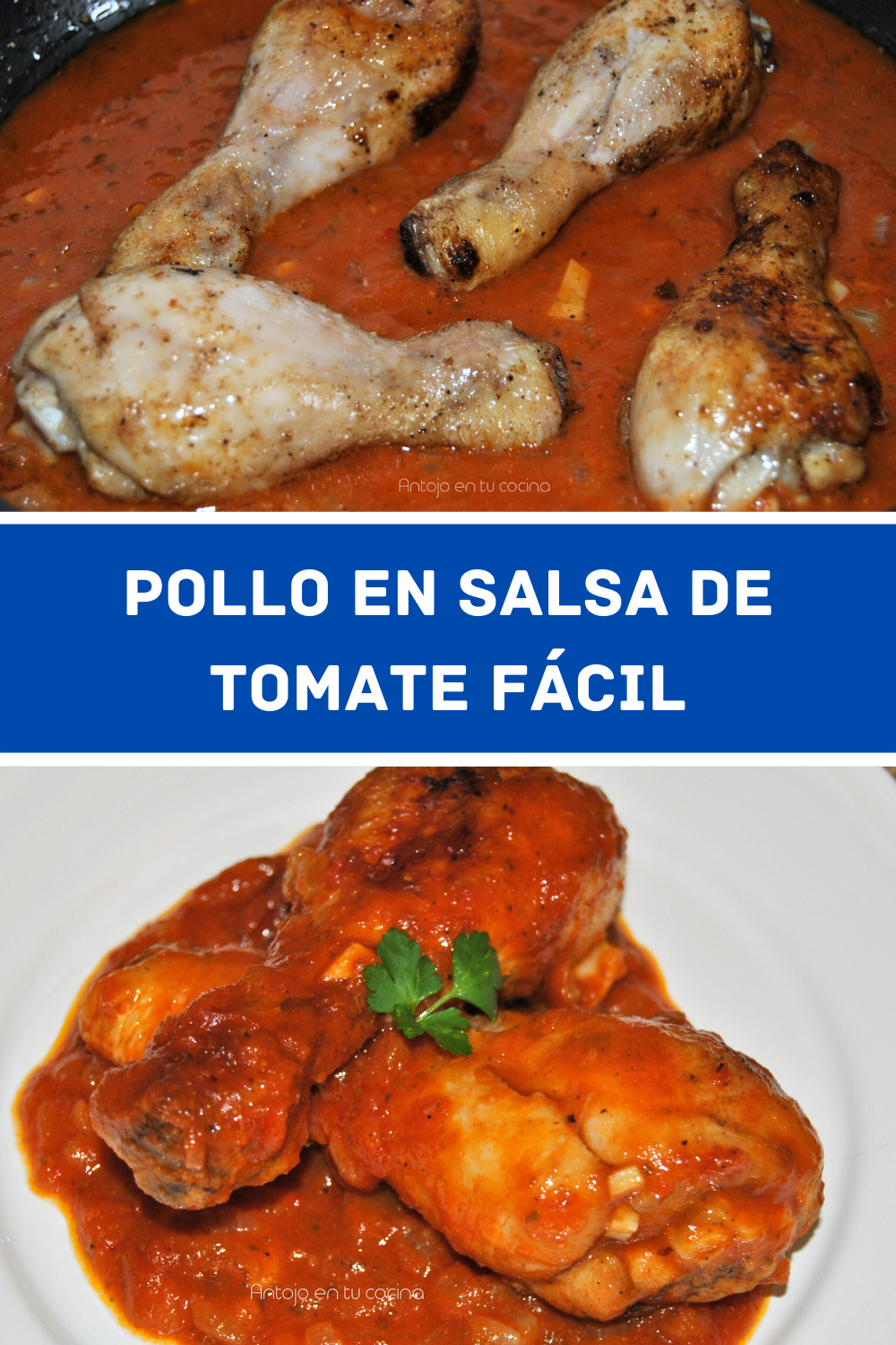 Pollo en salsa de tomate, delicioso y fácil - Antojo en tu cocina